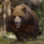 Bear | Forgotten Realms Wiki | Fandom
