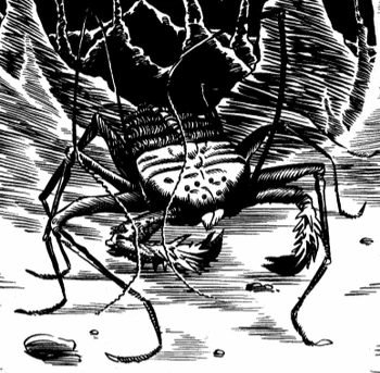 Pedipalp | Forgotten Realms Wiki | Fandom