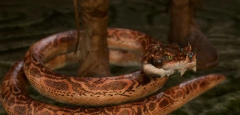 Teela | Forgotten Realms Wiki | Fandom