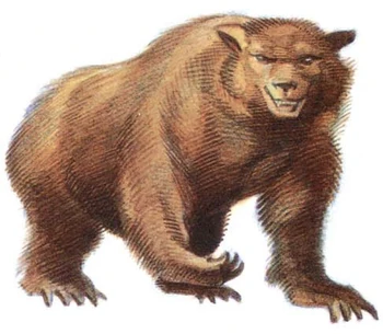 Brown bear | Forgotten Realms Wiki | Fandom