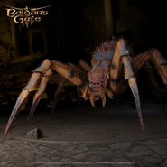 Giant spider | Forgotten Realms Wiki | Fandom