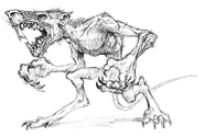 Wererat | Forgotten Realms Wiki | Fandom
