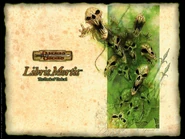 Libris Mortis | Forgotten Realms Wiki | Fandom