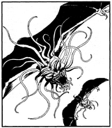 Vargouille | Forgotten Realms Wiki | Fandom