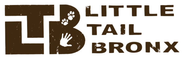 Little Tail Bronx | Little Tail Bronx Вики | Fandom