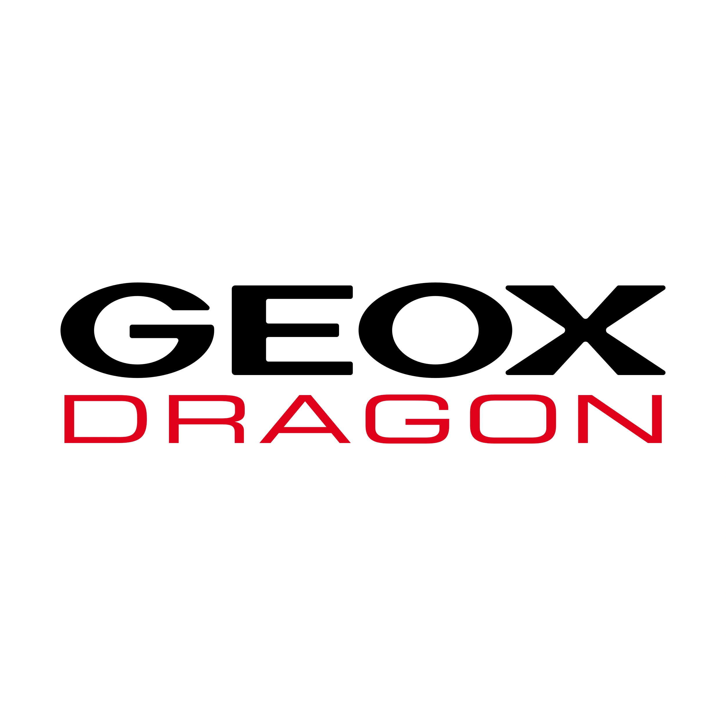 Dragon Racing Logo