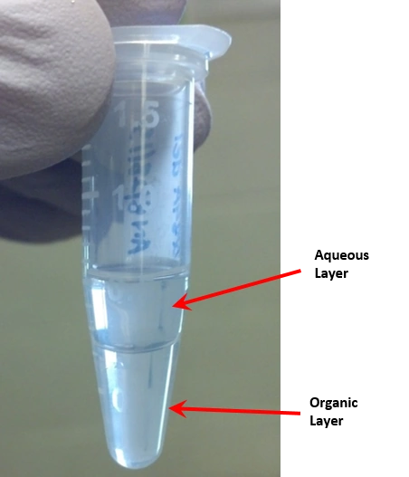 DNA Precipitation of Restriction Digests | Forney Lab Wiki | Fandom