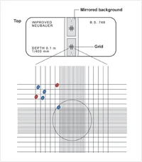 Counting Tetrahymena with a Hemacytometer | Forney Lab Wiki | Fandom