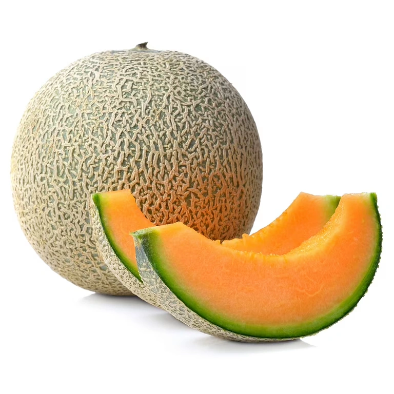 Cantaloupe | Forsaken Fanon Wiki | Fandom