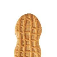 Nutter Butter | Forsaken Fanon Wiki | Fandom