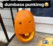 Dusekkar/Skins | Forsaken Wiki | Fandom