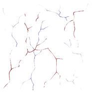 John Doe/Skins | FORSAKEN Wiki | Fandom