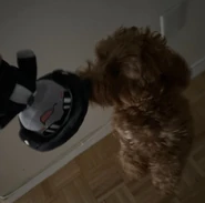 Merchandise | FORSAKEN Wiki | Fandom