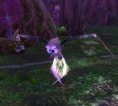 Strigidjäger | Forscherliga-Wiki | Fandom