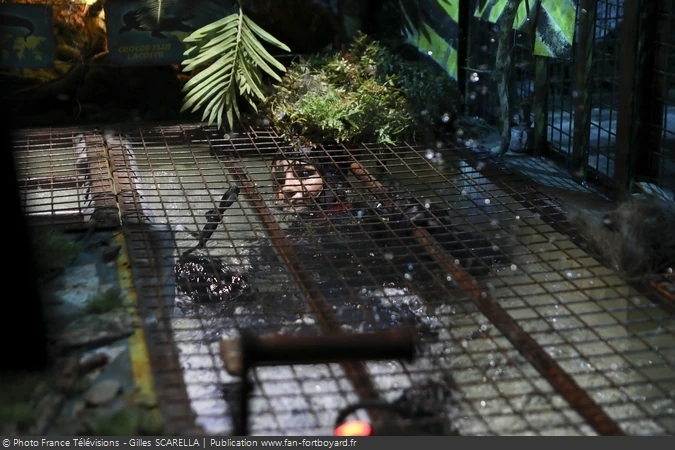 Croco World | Wiki Fort Boyard | Fandom