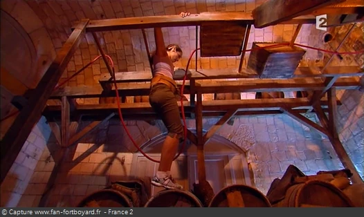 Dauphin | Wiki Fort Boyard | Fandom