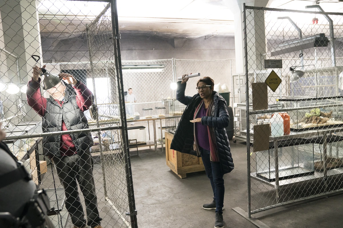 Nicole Rubio | For the People Wiki | Fandom