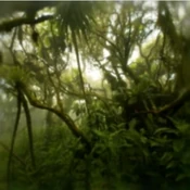 Zero Point Portals | Imagined Order Wiki | Fandom
