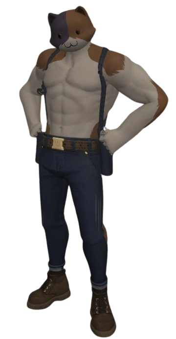 Meowscles | Fortnite Motel Royale Wiki | Fandom