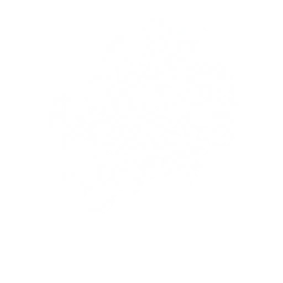 Voyager's Bone | Fortnite Wiki | Fandom