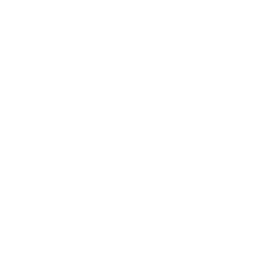 The Squabble | Fortnite Wiki | Fandom