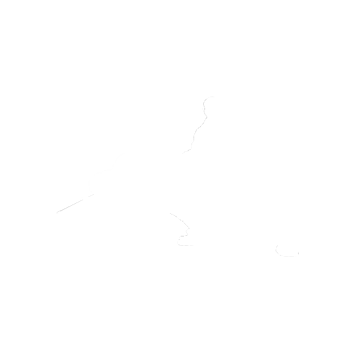 Lance Dance | Fortnite Wiki | Fandom