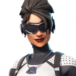 Arctic Assassin | Fortnite Wiki | Fandom
