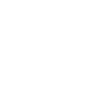 Team Havok - Fortnite Esports Wiki
