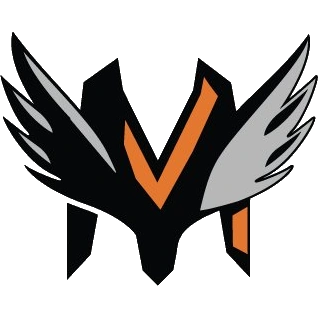Meta Gaming - Fortnite Esports Wiki