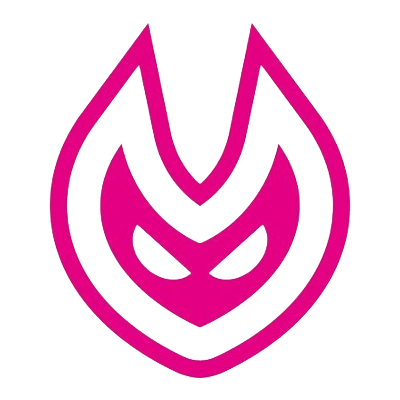 Team Vision - Fortnite Esports Wiki