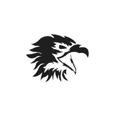 Zeltic Esports - Fortnite Esports Wiki