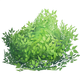 Bush - Fortnite Wiki