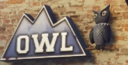 OWL - Fortnite Wiki