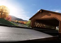 Maple Valley Raceway | Forza Wiki | Fandom