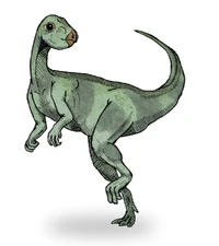 Qantassaurus | Fossil Wiki | Fandom
