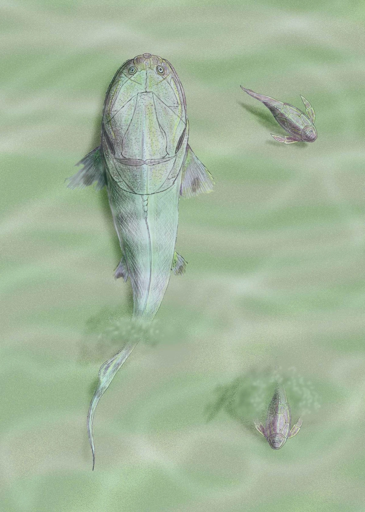 Homostius | Fossil Wiki | Fandom