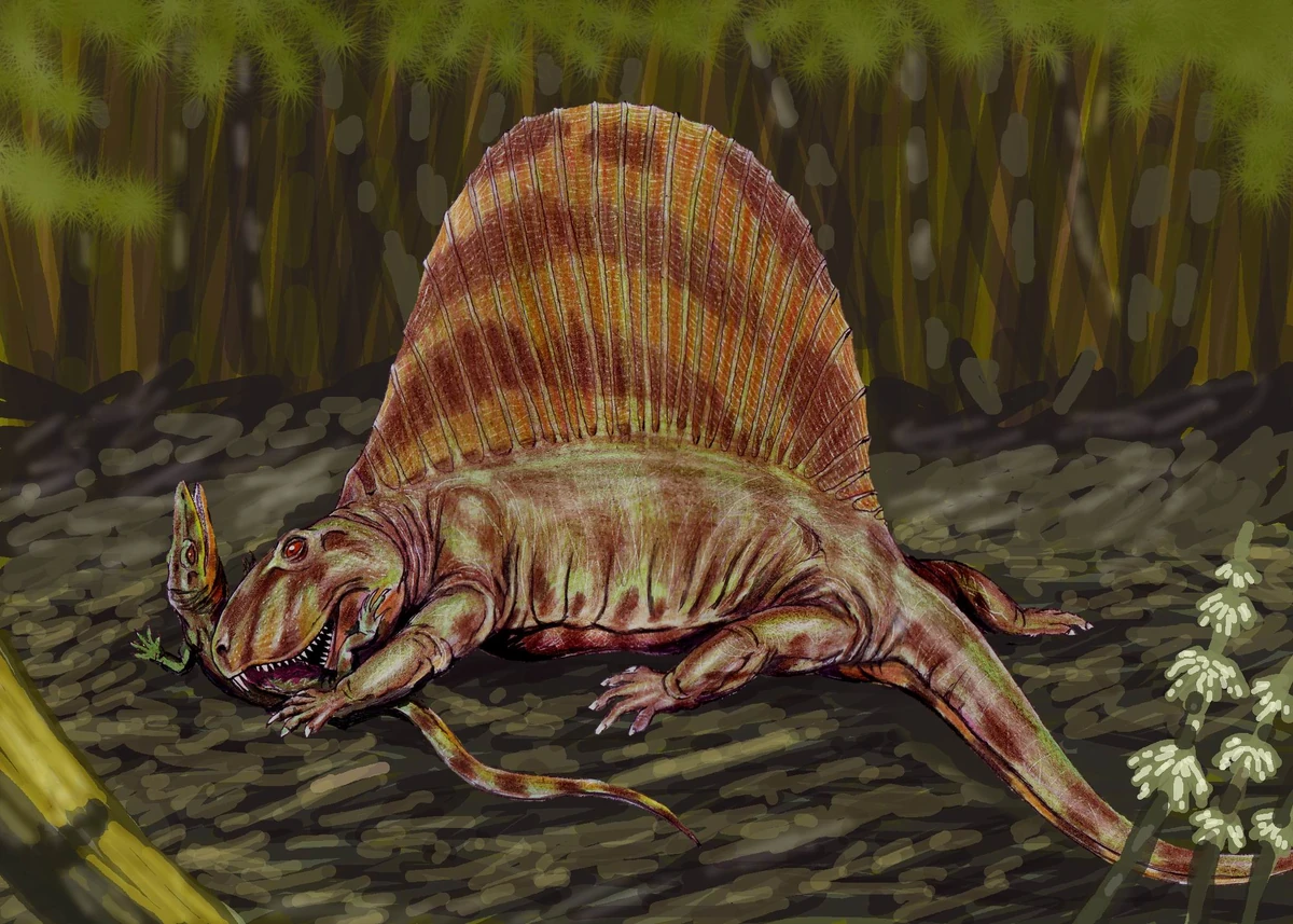 Varanosaurus | Fossil Wiki | Fandom