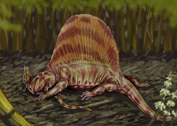 Varanosaurus | Fossil Wiki | Fandom