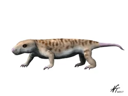 Galesaurus | Fossil Wiki | Fandom
