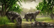 Josephoartigasia | Fossil Wiki | Fandom