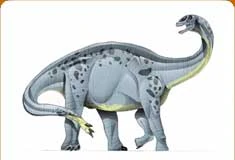 Shunosaurus | Fossil Wiki | Fandom