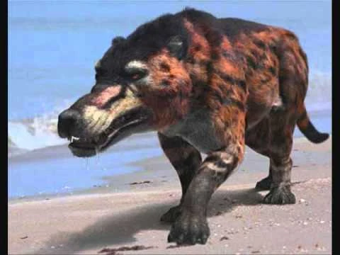Andrewsarchus | Fossil Wiki | Fandom