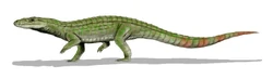 Sichuanosuchus | Fossil Wiki | Fandom