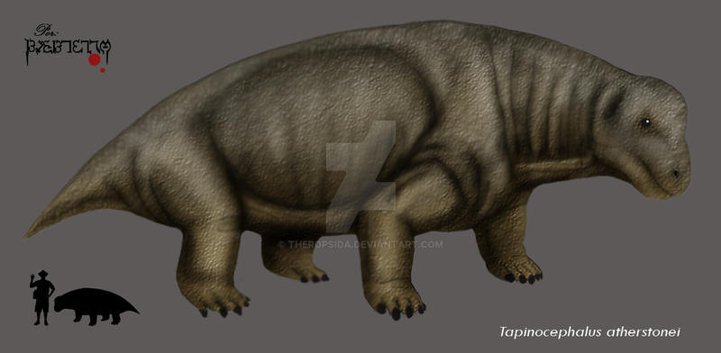 Tapinocephalus | Fossil Wiki | Fandom