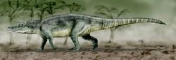 Prestosuchidae | Fossil Wiki | Fandom