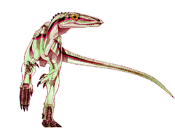 Alwalkeria | Fossil Wiki | Fandom