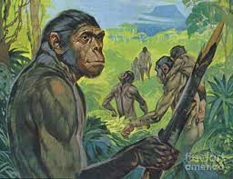 Pithecanthropus | Fossil Wiki | Fandom