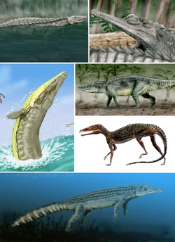Crurotarsi | Fossil Wiki | Fandom