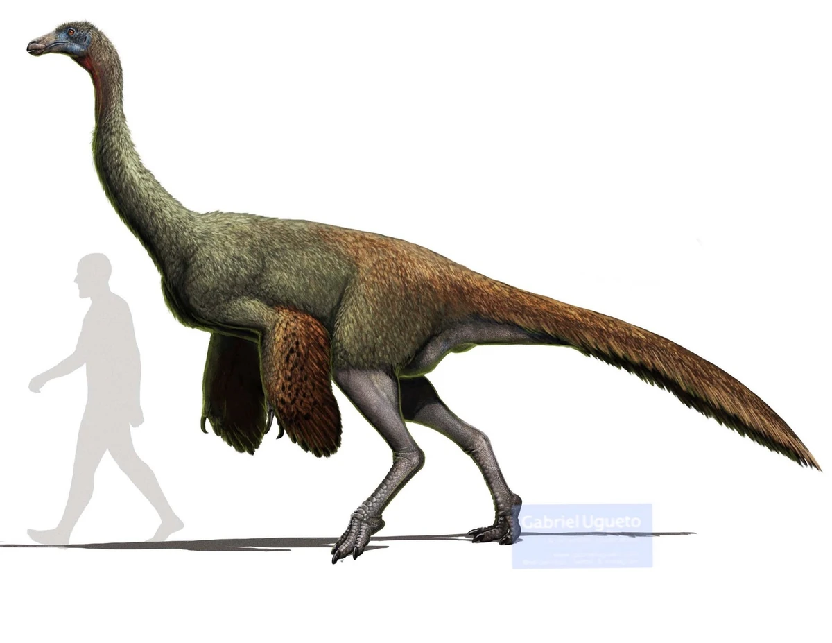 Gallimimus | Fossil Wiki | Fandom