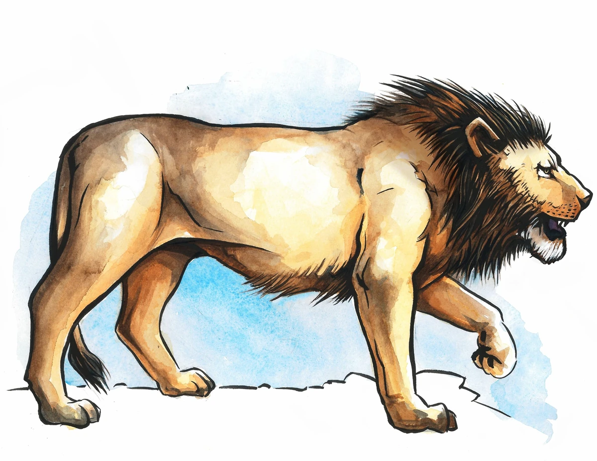 American lion | Fossil Wiki | Fandom